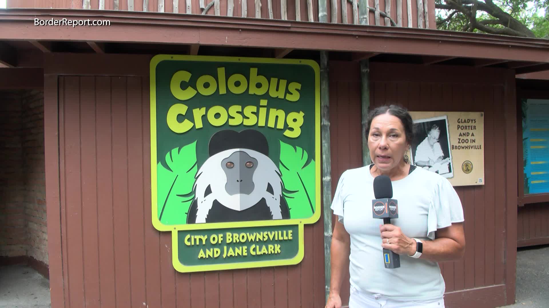 Border zoo monkey smuggling – WWTI – InformNNY.com