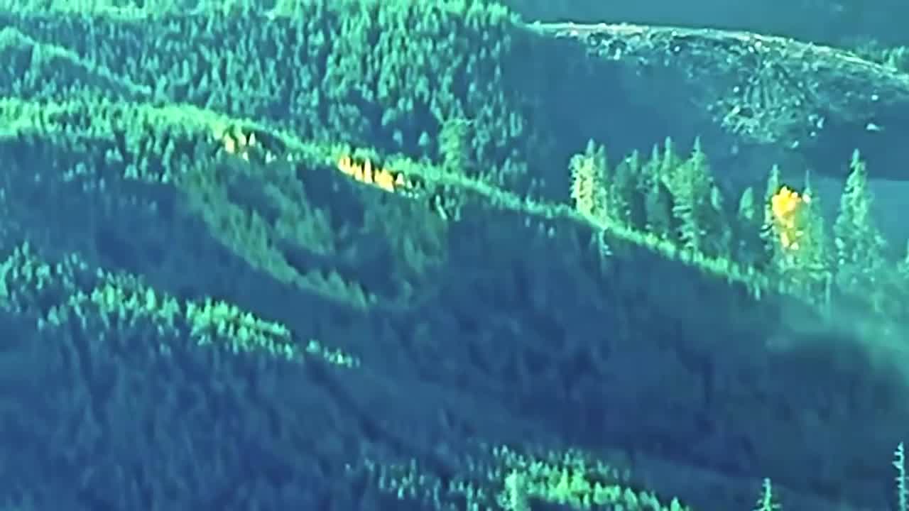 Oregon’s “Smiley Face Hill” returns – KOIN.com