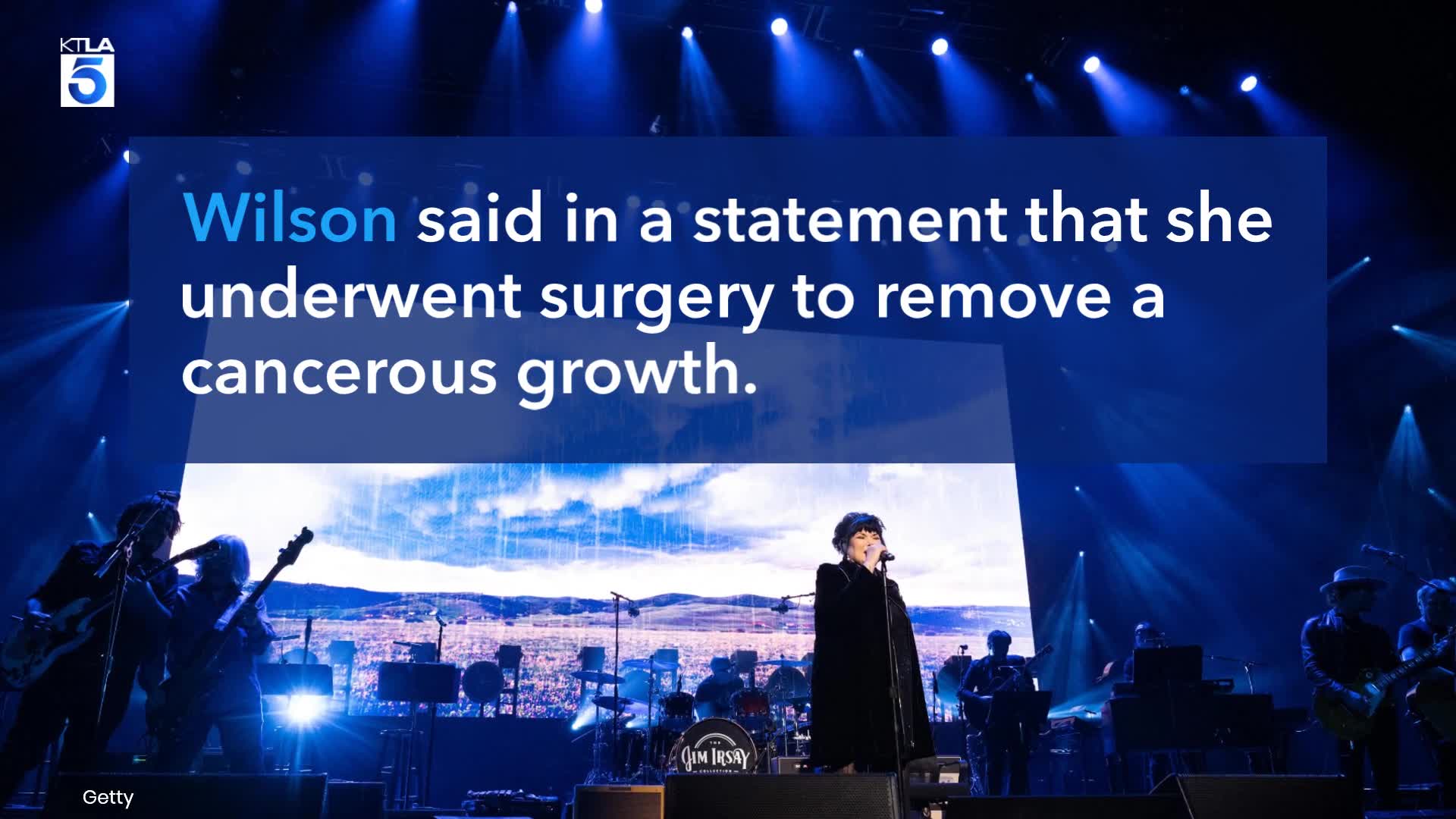 Heart lead singer Ann Wilson reveals cancer diagnosis, postpones tour ...
