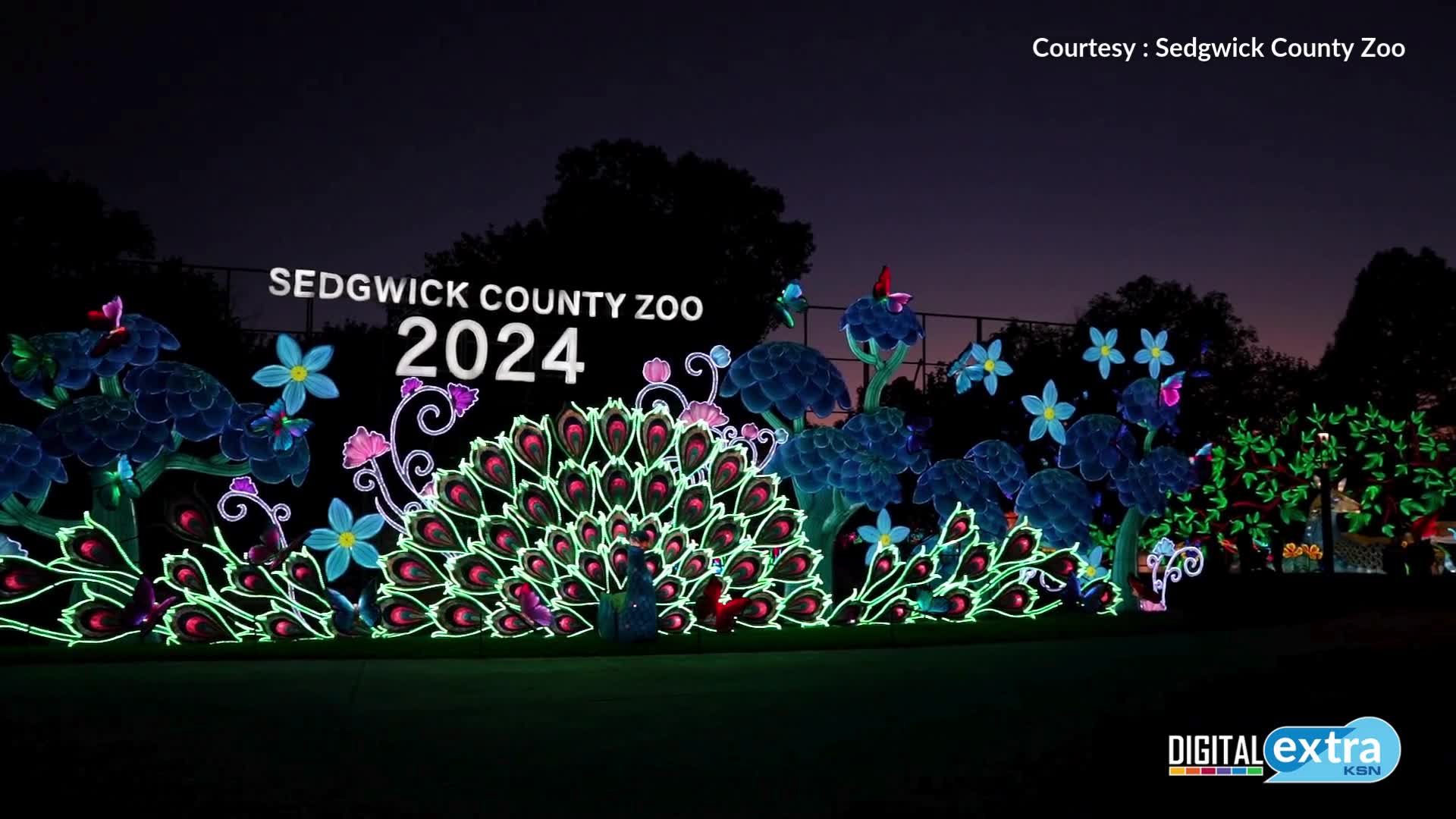 2024 Wild Lights at Sedgwick County Zoo – KSN-TV