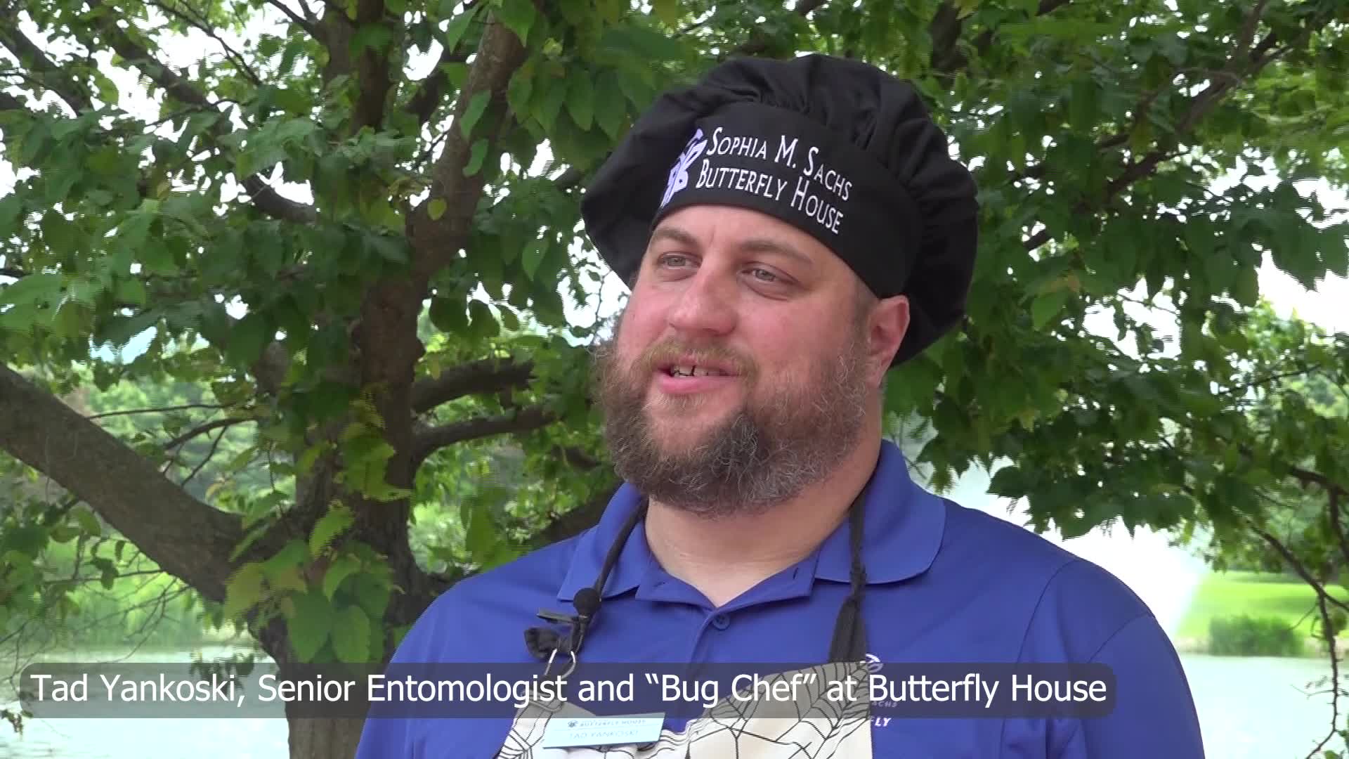 How to cook a cicada according to the “Bug Chef” – FOX 2