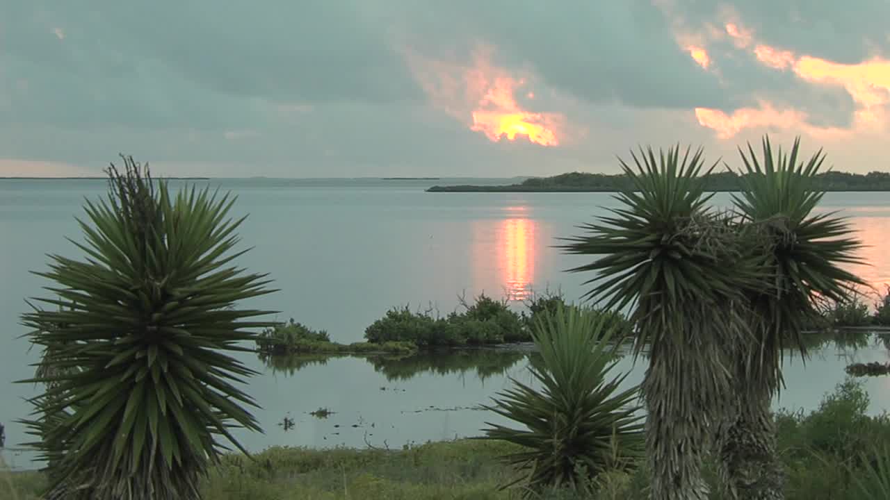 Richard Moore Outdoor Report: River of Birds – KVEO-TV