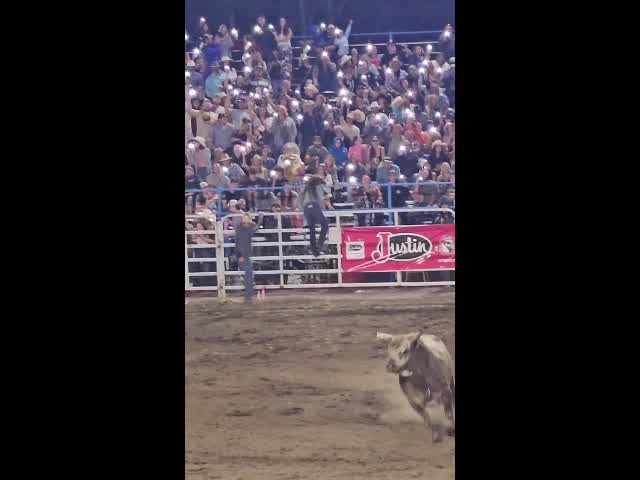 Bull jumps fence at Sisters Rodeo – WKRN News 2