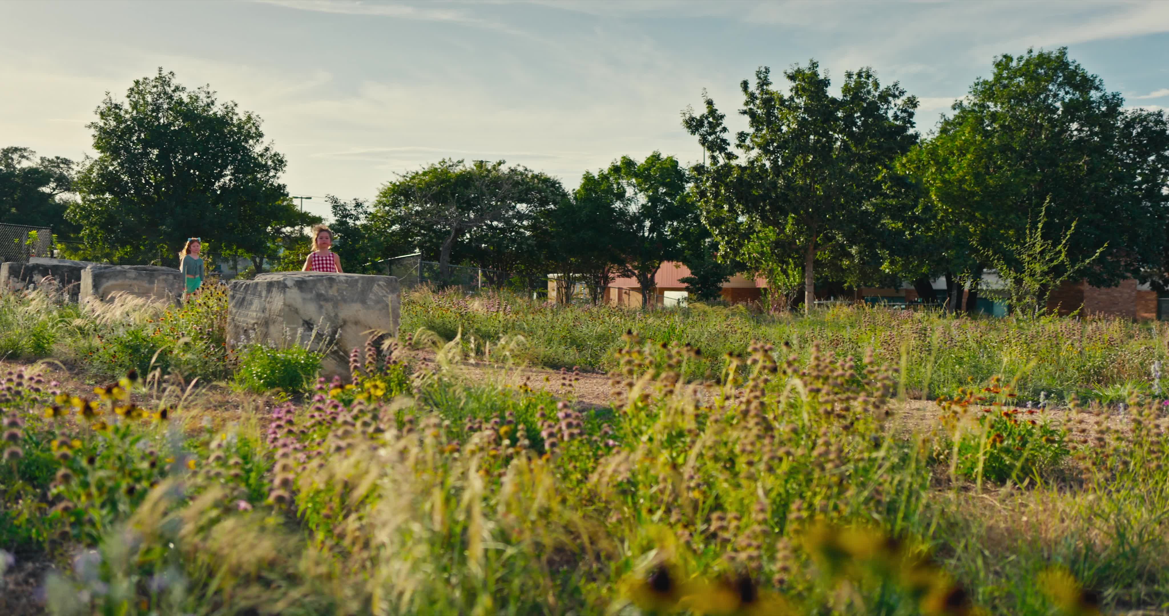 Plant Community launches beautification work on Austin ISD campuses ...